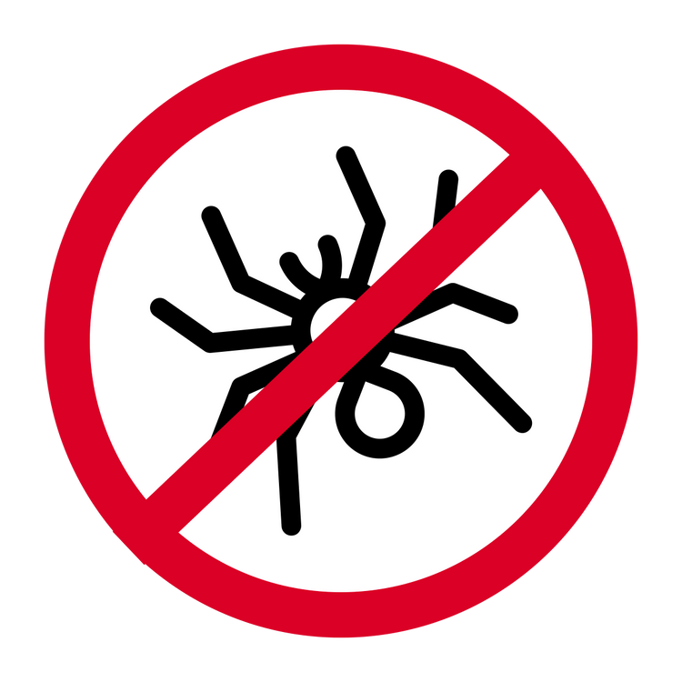 Best Spider Traps: Reliable Spider Control for Your Home