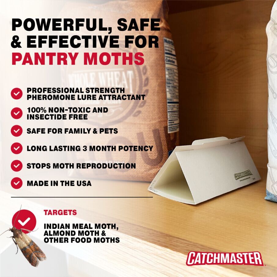 Buy Pantry Pest & Moth: Pheromone Glue Board Traps - Catchmaster