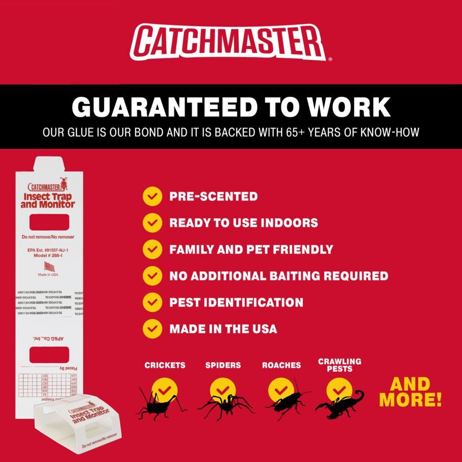 Brown Recluse Spider Glue Board Traps – Catchmaster