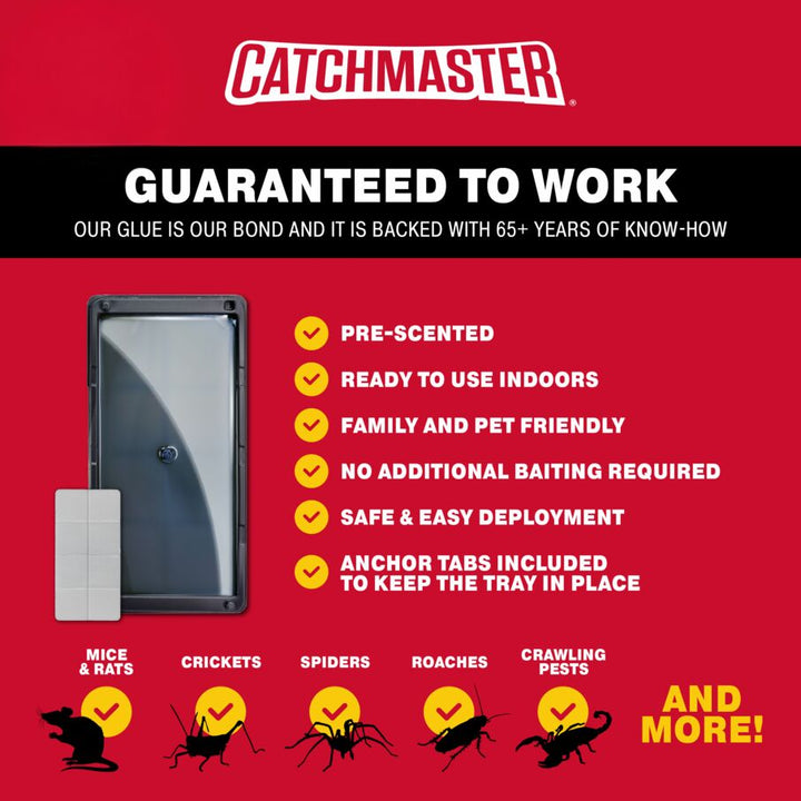 Buy Pest Control Tools and Traps: Explore Now