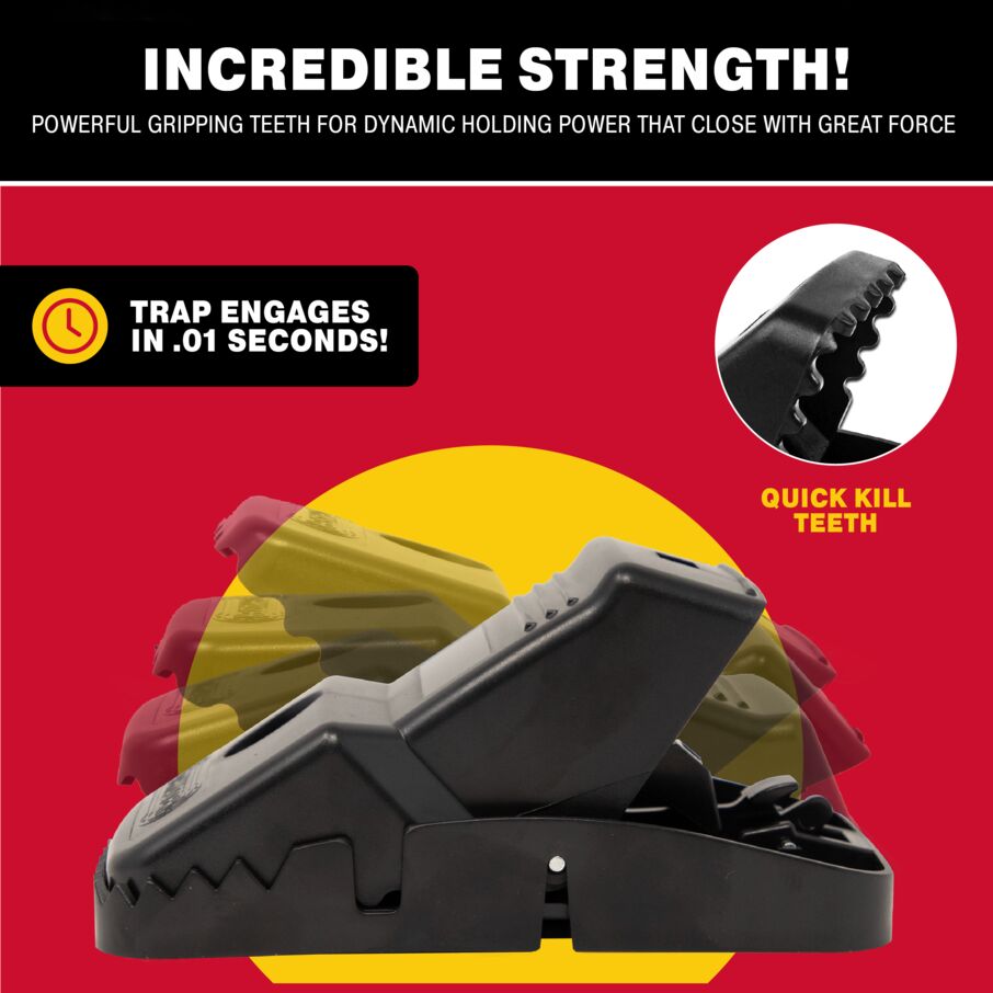 Snapper Quick-Set Reusable Snap Traps - Catchmaster