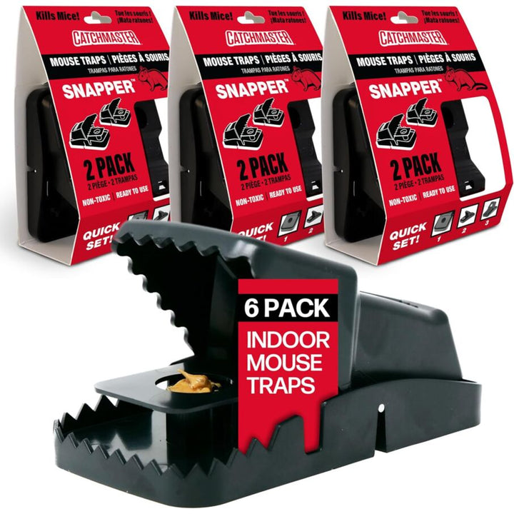 Mouse Traps | Non-Toxic Glue Traps for Mice