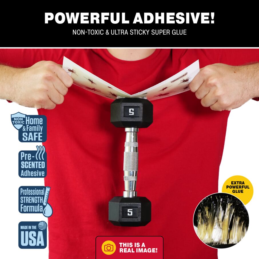 Brown Recluse Spider Giant Glue Board Traps