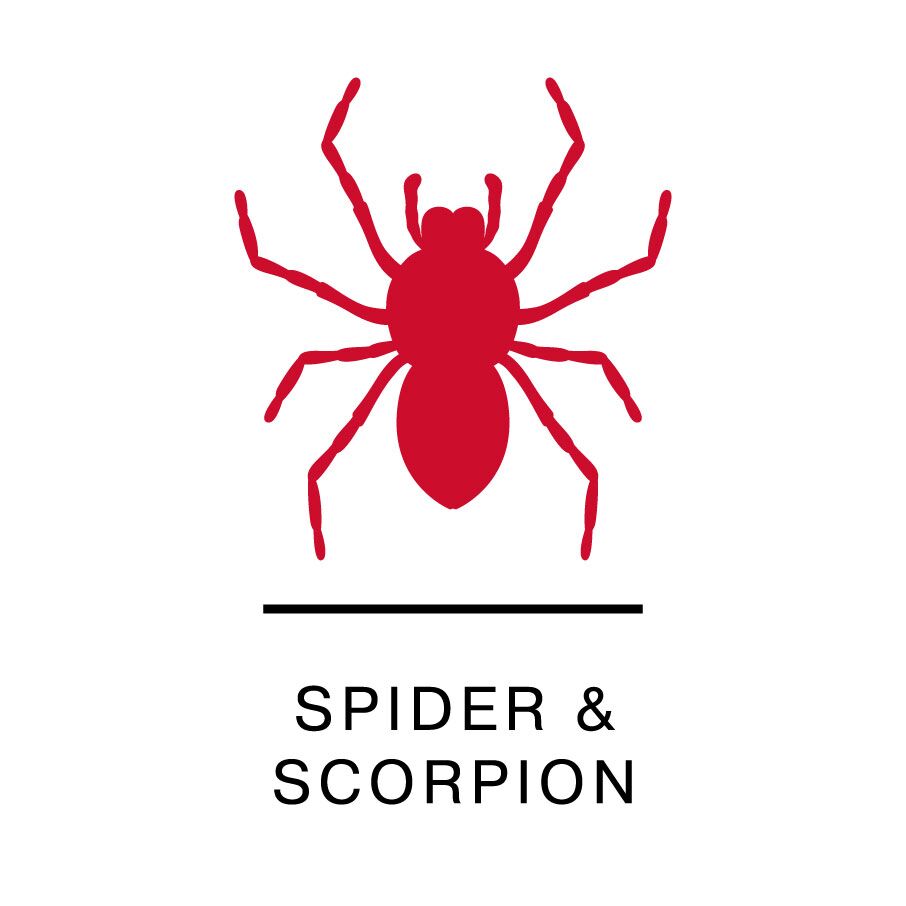 Catchmaster - The leading brand in glue based pest control