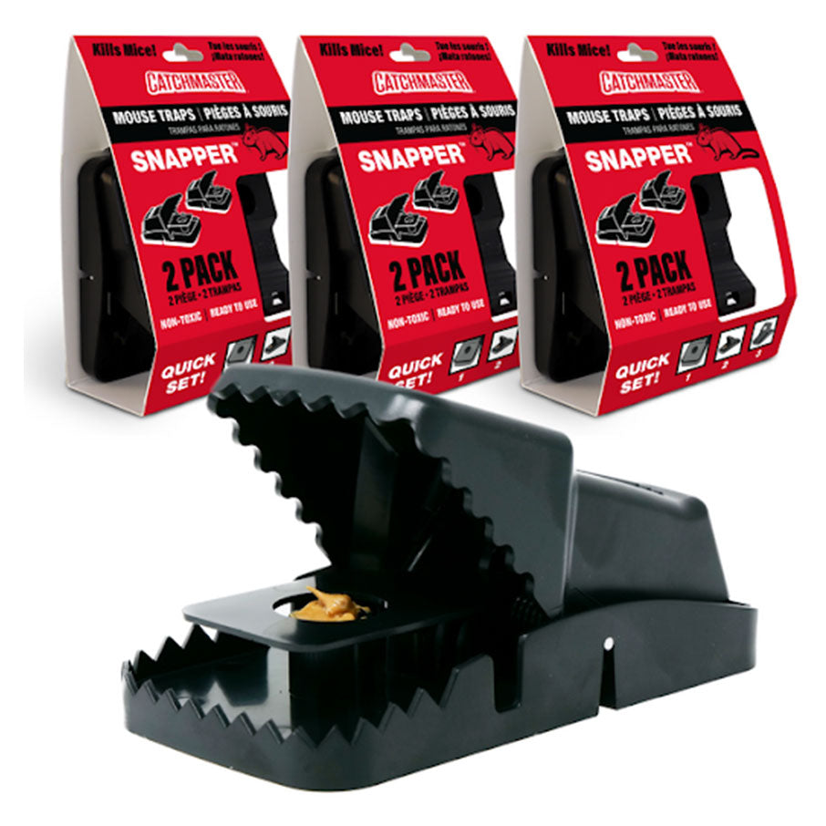 Mouse Glue Trays, Board Traps & Snap Traps – Catchmaster
