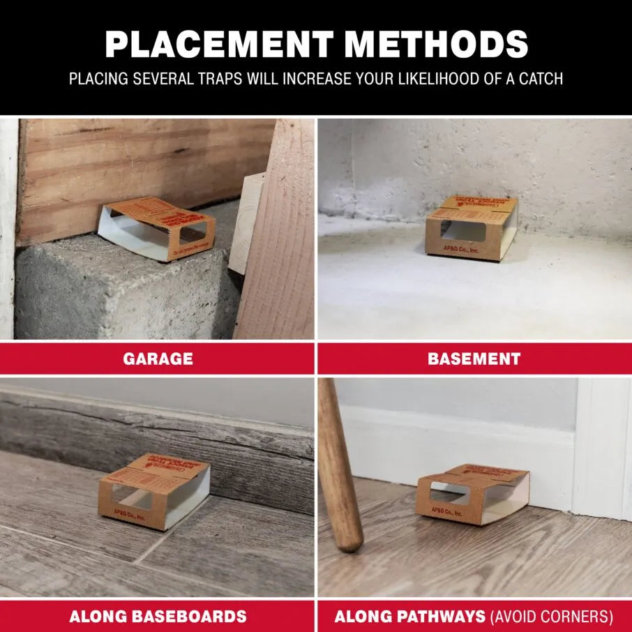 Brown Recluse Spider Glue Board Traps – Catchmaster