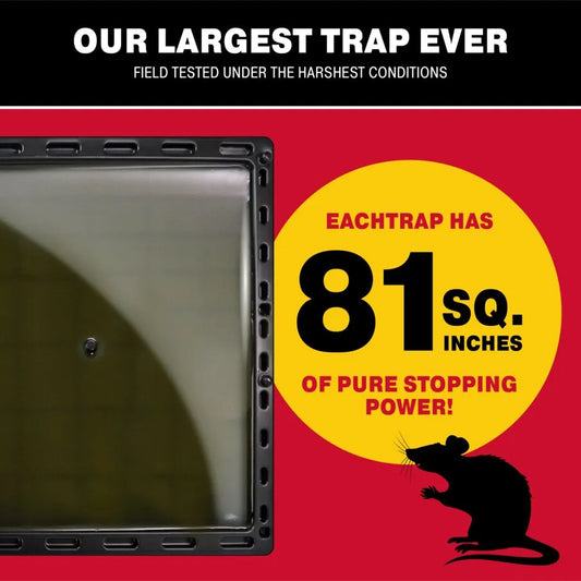 The Best Rat Traps & Sticky Rat Traps | Catchmaster Glue Traps ...